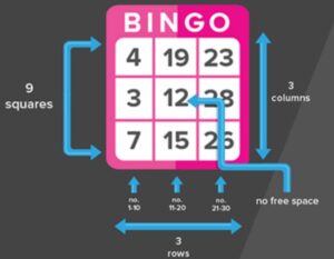 6 Popular Types of Bingo in UK for 2025 ️ Insights by Gamblizard